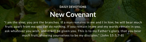 Ray Stedman: Christ in You | Exchanged Life Counseling Matters